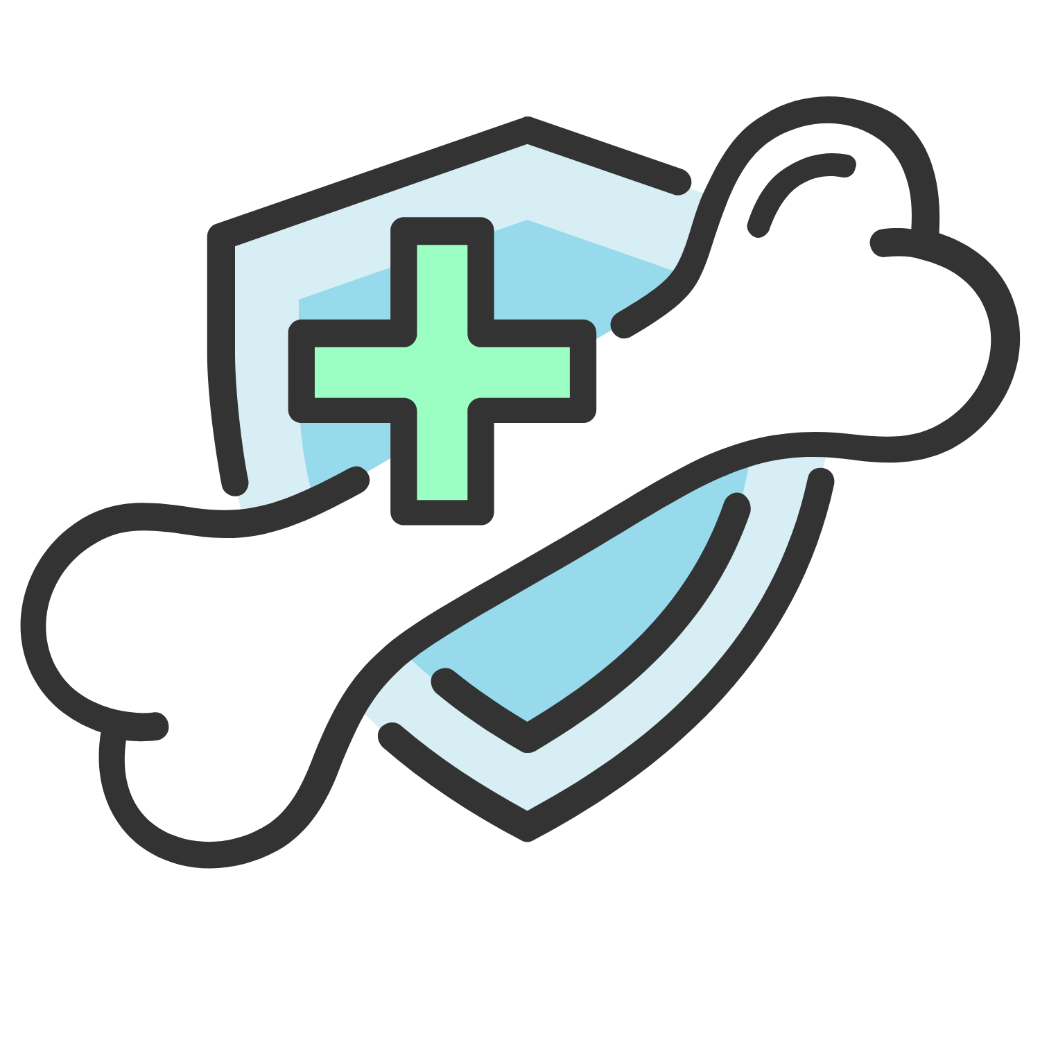 Bone Health – Vitashop